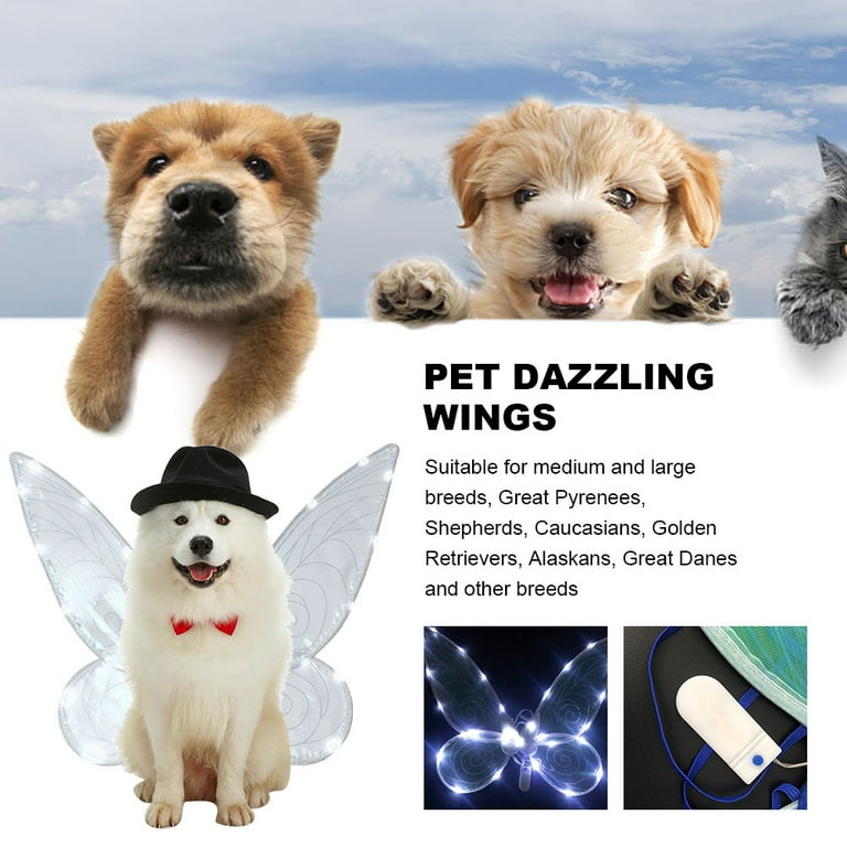 Dogs With Angel Wings