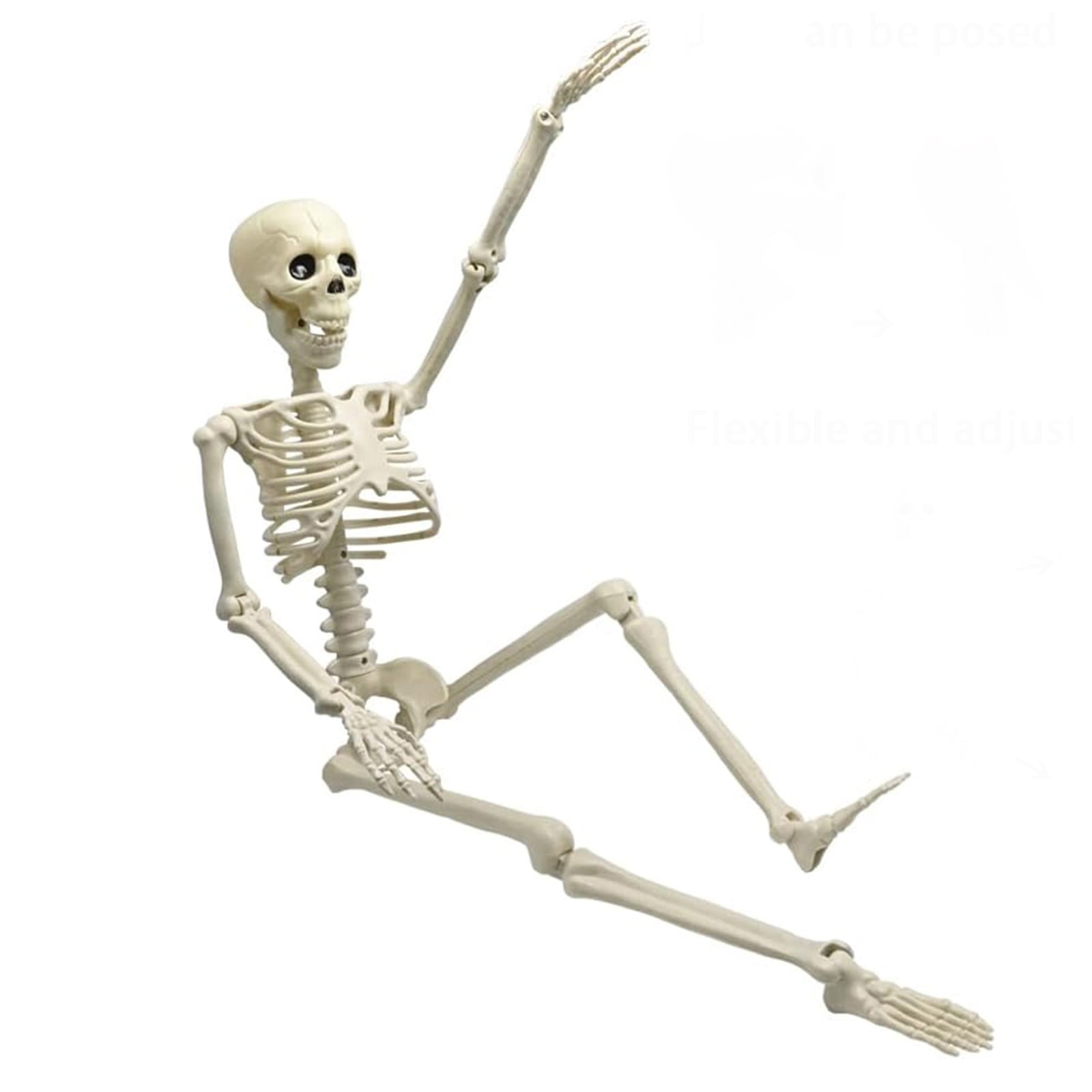 Click here for Aqitti Clearance! Halloween Skeleton Life Size Rea... prices