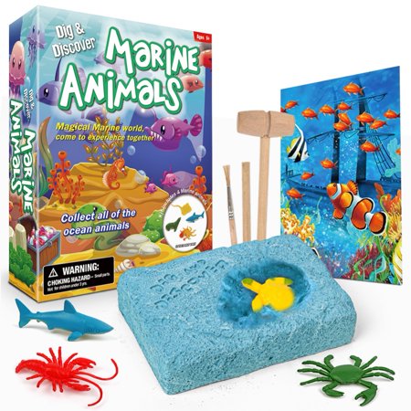 Cheers Kids Simulation Marine Animals Dig Excavation Kit Archaeological ...
