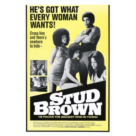 Dynamite Brothers (Aka Stud Brown) Us Poster Timothy Brown 1974 Movie ...