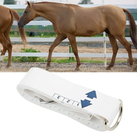 ANGGREK 2.5m Farm Measuring Tape High Accuracy Professional Soft Tape ...