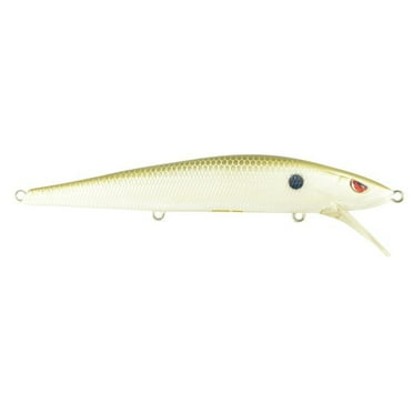 Johnson Fishing Splinter Fishing Bait - Walmart.com