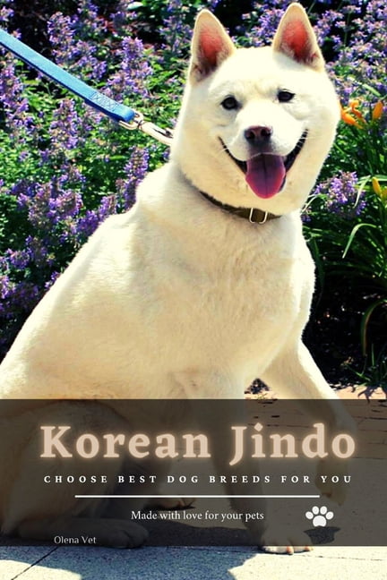 Are Korean Jindos Good For Apartment Units
