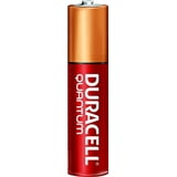 Duracell Quantum Alkaline AAA Batteries, 20 Ct - Walmart.com