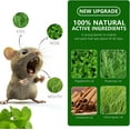 Mouse Rodent lent, 48 Pack Peppermint Lemon Oil Mice lent for Squirrel ...