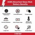 Black & Decker 725P17335 Lawn Mower AGM 210 Amp CCA Replacement 12 Volt ...