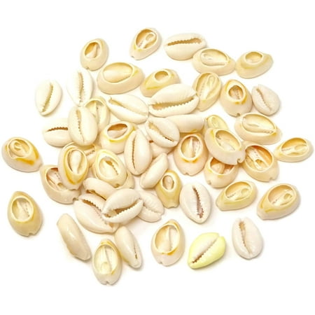 HISRFO 50PCS Natural Spiral Beach Seashells Shell Beads Cowire Shells ...