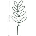 Home Decor Natural Climbing Support for Indoor Outdoor Vines Flexible ...