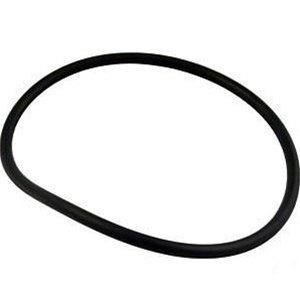 Hayward RegenX Filter Head O-Ring O-88 RgX45g | Walmart Canada