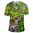 Fall Forest Mens T-Shirt All Over Print - Walmart.com