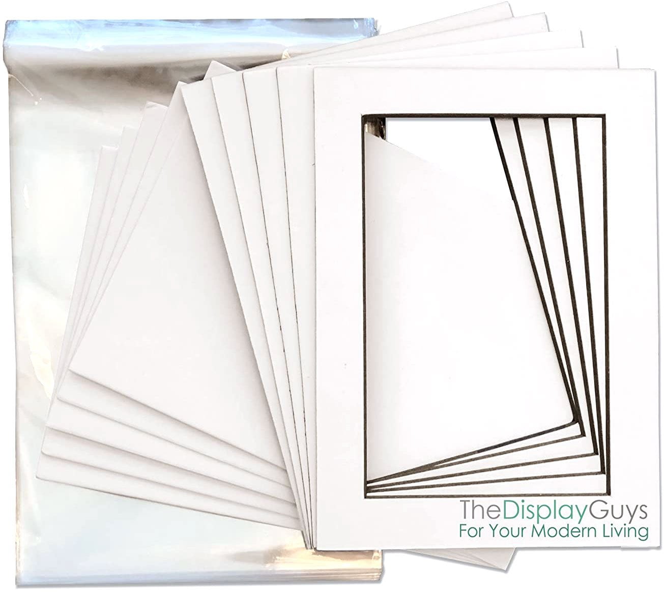 THE DISPLAY GUYS Professional 18x24 Pack of 25 Deluxe White w/Black ...