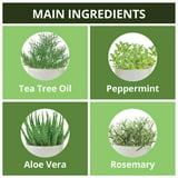 Daeng Gi Meo Ri Natural On Tea Tree Cool Shampoo and Treatment Set for ...