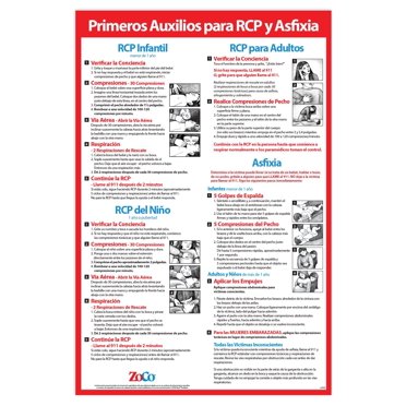 First Aid and Choking Poster, 11' x 17", Laminated, Includes CPR, Shock ...