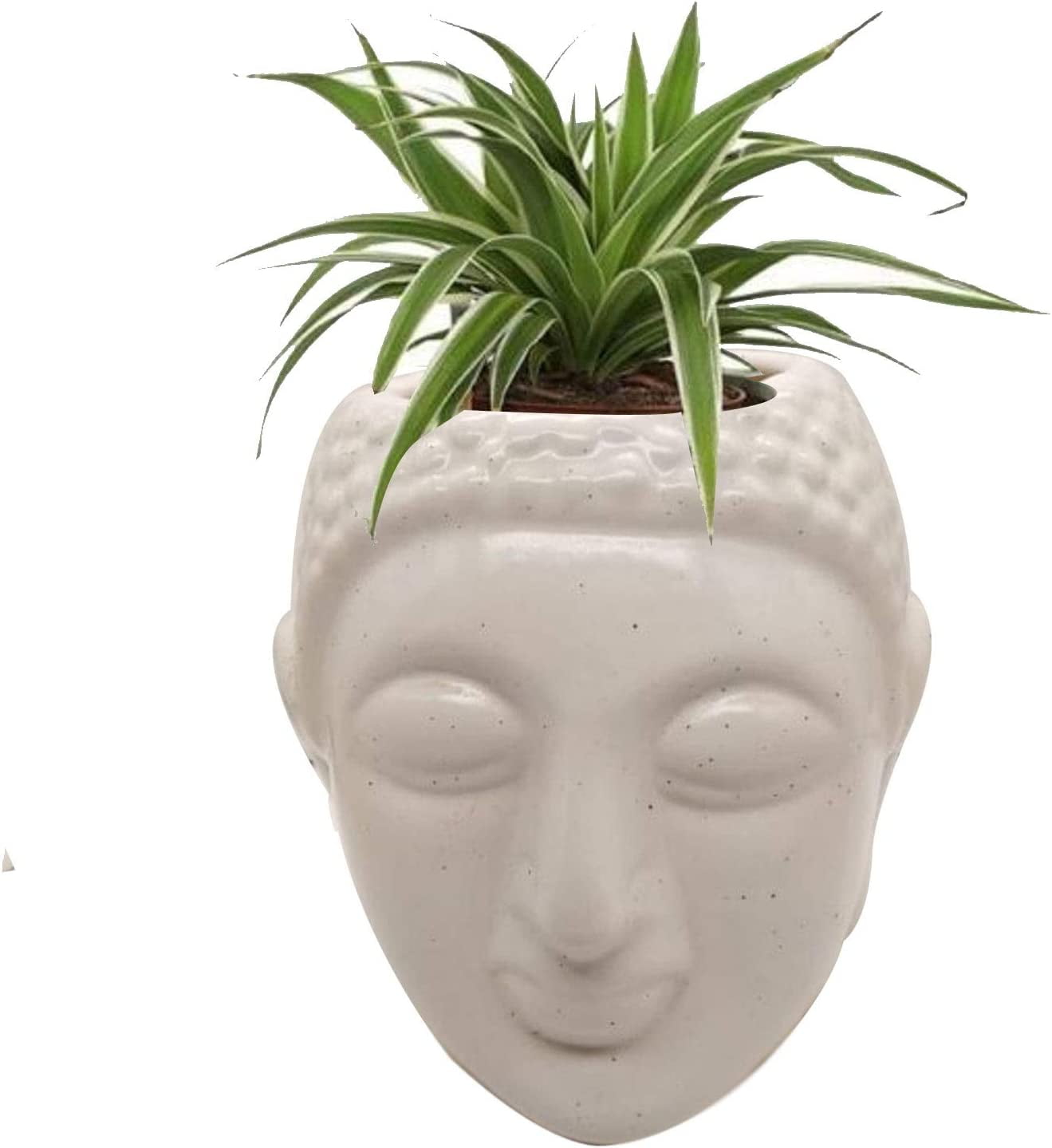 India Meets India Handicraft Ceramic Flower Pots Ceramic Planter Plant ...