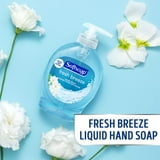 Softsoap Antibacterial Hand Soap Wash, Fresh Breeze, 7.5 oz (Pack of 3 ...