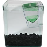 Penn-Plax Breed and Show Fish Tank Enclosure Mounts In Aquarium Fry ...