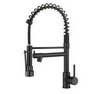 OakBrook Pacifica One Handle Kitchen Faucet with Pullout Sprayer ...