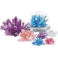 4M, Crystal Growing Science Kit, Deluxe Combo, for Kids Age 10 ...