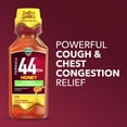 Vicks Formula 44 DM Honey Flavor Cough & Congestion Liquid, 12 fl oz ...
