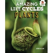 Build It Yourself Game Logic: Level Up and Create Your Own Games with ...