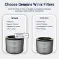 Winix Replacement Filter O for A231 and A230 Air Purifier, 12 Months of ...