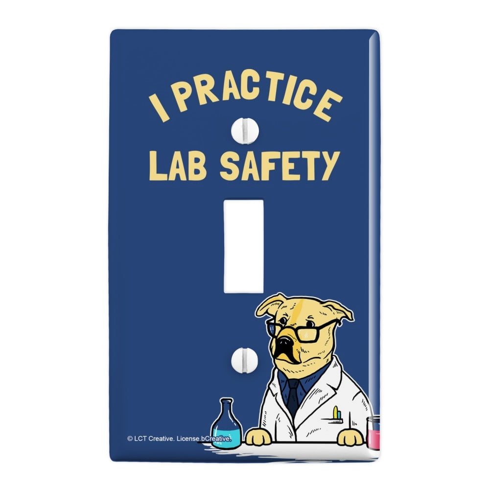 I Practice Lab Safety Labrador Retriever Funny Humor Plastic Wall Decor ...