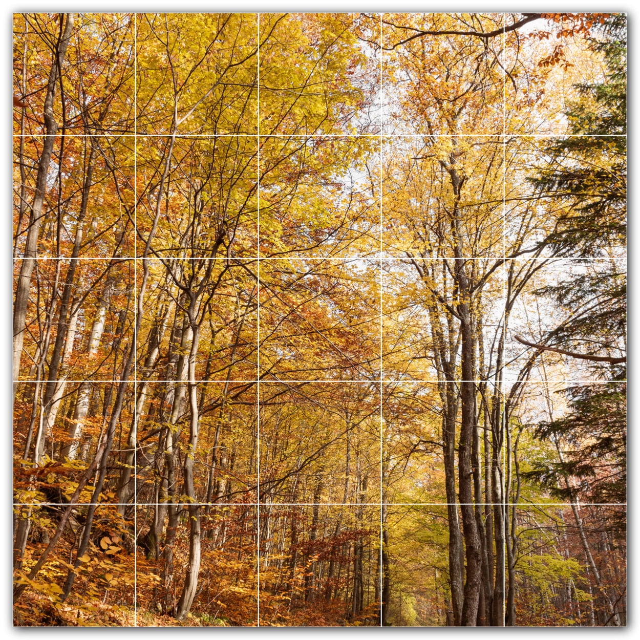 Picture-Tiles.com: Autumn Ceramic Tile Wall Mural WAL500005-55XL. 60"W ...