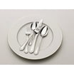 Mikasa Arturo 20-Piece 18.10 Flatware Set, Service for 4 - Walmart.com