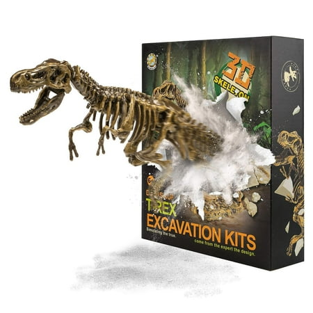 Dinosaur Fossil Toy Excavation Set Dinosaur Model Digging Toy ...