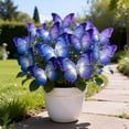 Fast Growing, Midnight Blue Hostas Planting--(Non-Artificial ...