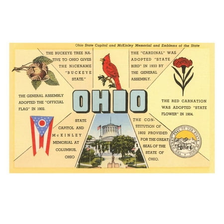 Ohio State Bird Flower And Tree | Best Flower Site