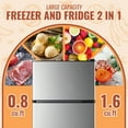 DEMULLER 2.4 Cu.ft Mini Fridge, Compact Refrigerator with Freezer, Two ...