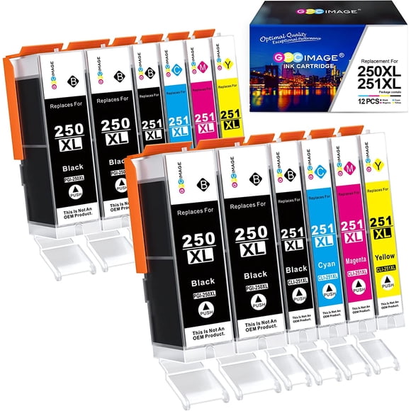 Canon Ink 250 251 Cartridges