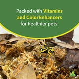 Melanogaster Fruit Fly Media 3 lbs / 2.7 Quarts (makes 20 fruit fly ...
