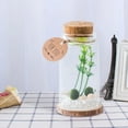 erfcxs Glass Terrarium Kit With Cylinder Vase Unique Decorative Desktop ...
