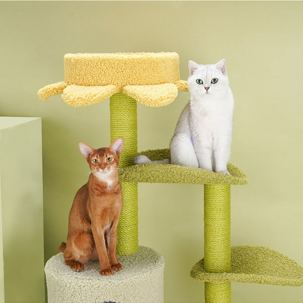 Lotus Leaf Cat Climbing Frame Cat Nest Cat Tree One Jumping Platform ...