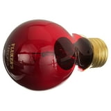 Fluker's Incandescent Red Heat Bulbs for Reptiles, 40 Watt - Walmart.com