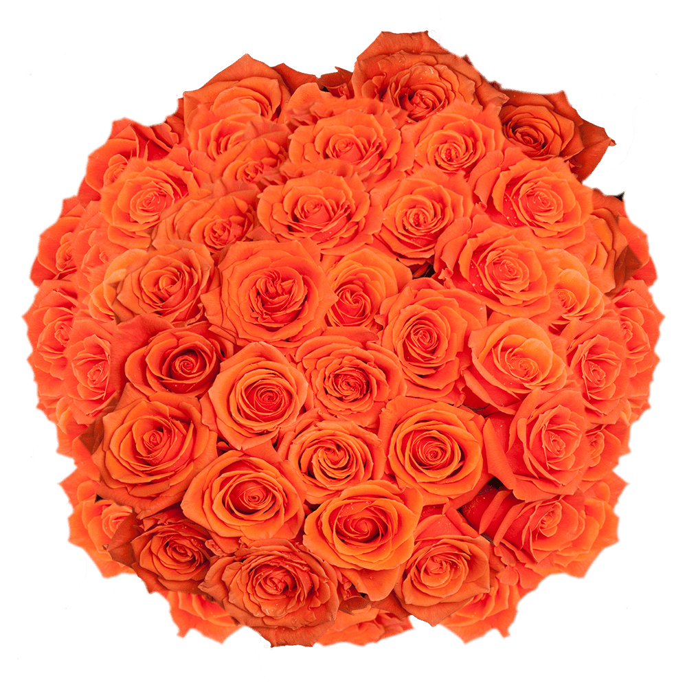 150 Stems of Cayenne- Fresh Flower Delivery - Walmart.com