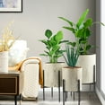 HomeStock Modern Marvel Set Of 3 Gray And Gold Metal Cachepot Planters ...