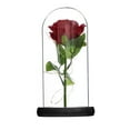 Forever Rose,Eternal Flower Light Up Rose in Glass Dome,Valentine'S Day ...
