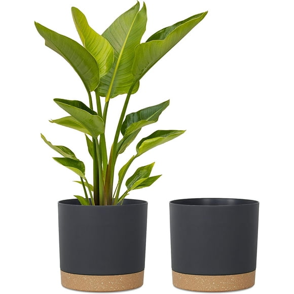 12 Inch Plant Pot