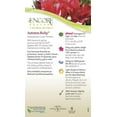 Encore Azalea Autumn Ruby (2 Gallon) Red Flowering Shrub - Full Sun ...