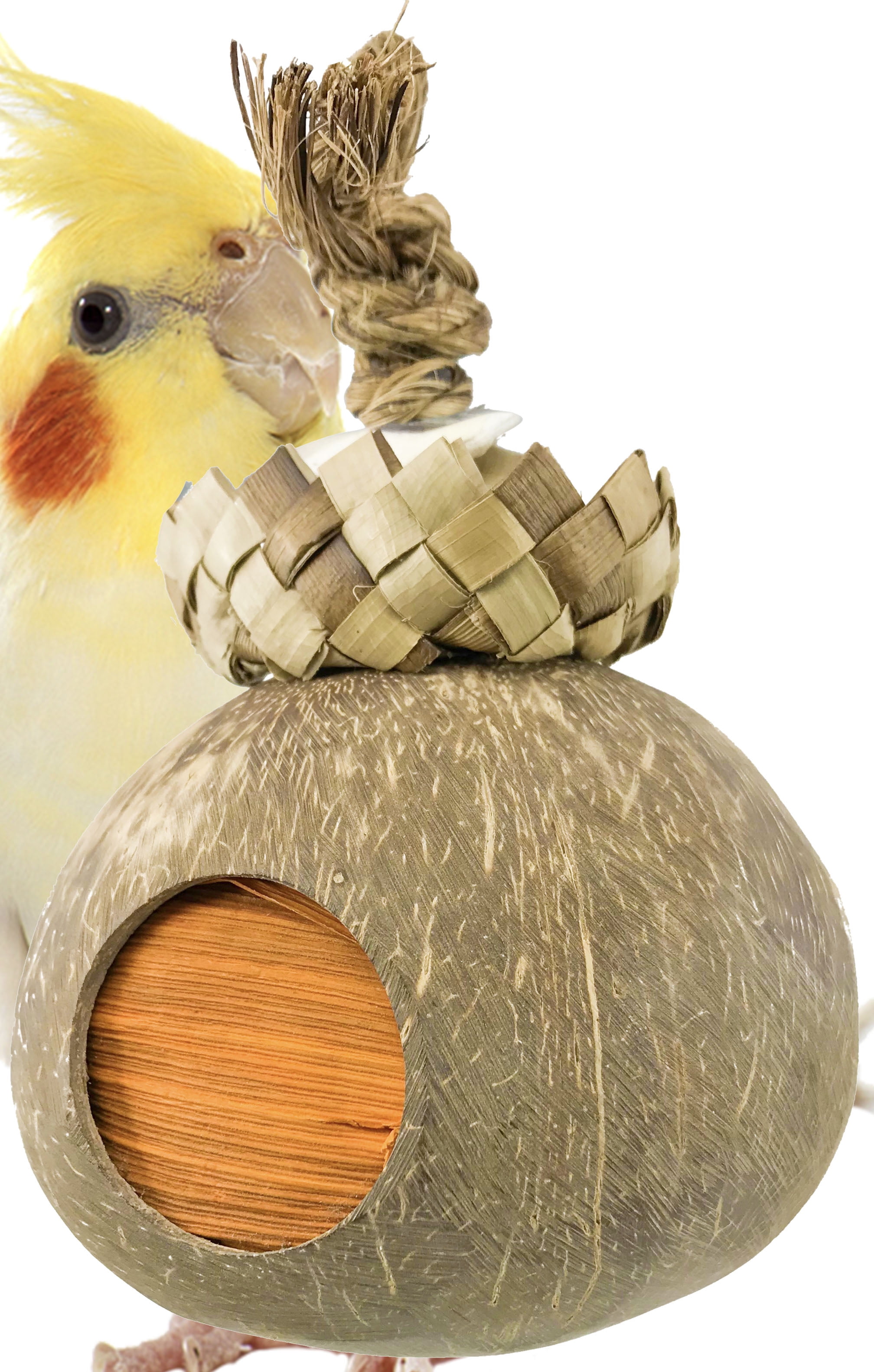 41304 Mini Coco Forage Toy - Walmart.com