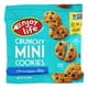 ENJOY LIFE Gluten Free Mini Crunchy Chocolate Chip Cookies - Walmart.ca