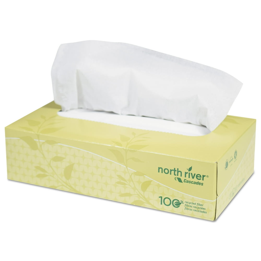 Cascades 2-Ply North River Facial Tissue, 100 count, (Pack of 30 ...