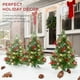 Best Choice Products Set of 2 24.5in Outdoor Pathway Christmas Trees ...