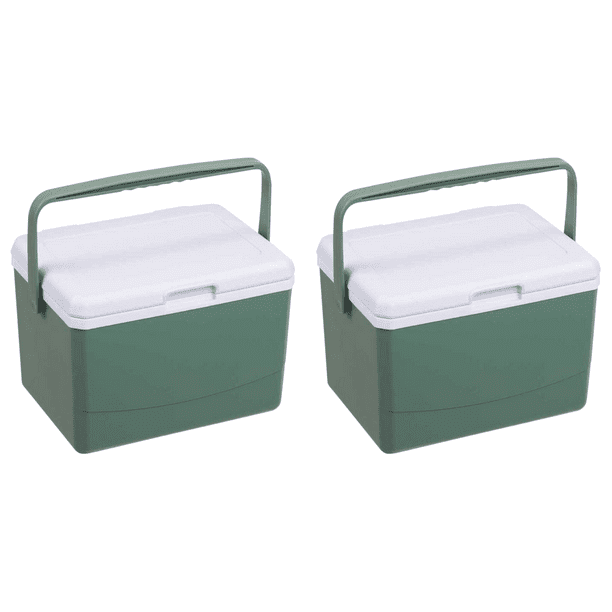 Nevera Portátil Aislada 5 Litros Con Asa Cubo Hielo para Picnic en La ...