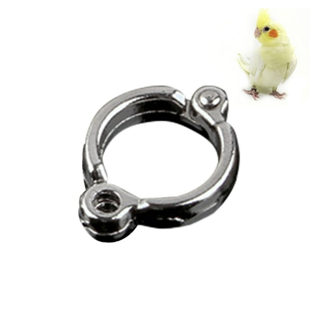 Amdohai Pet Bird Pigeons Parrot Leg Rings Bird Rings Outdoor Flying ...