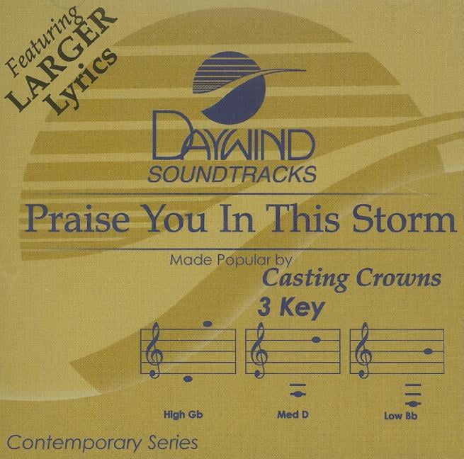 Daywind Soundtracks: Praise You in the Storm (Audiobook) - Walmart.com
