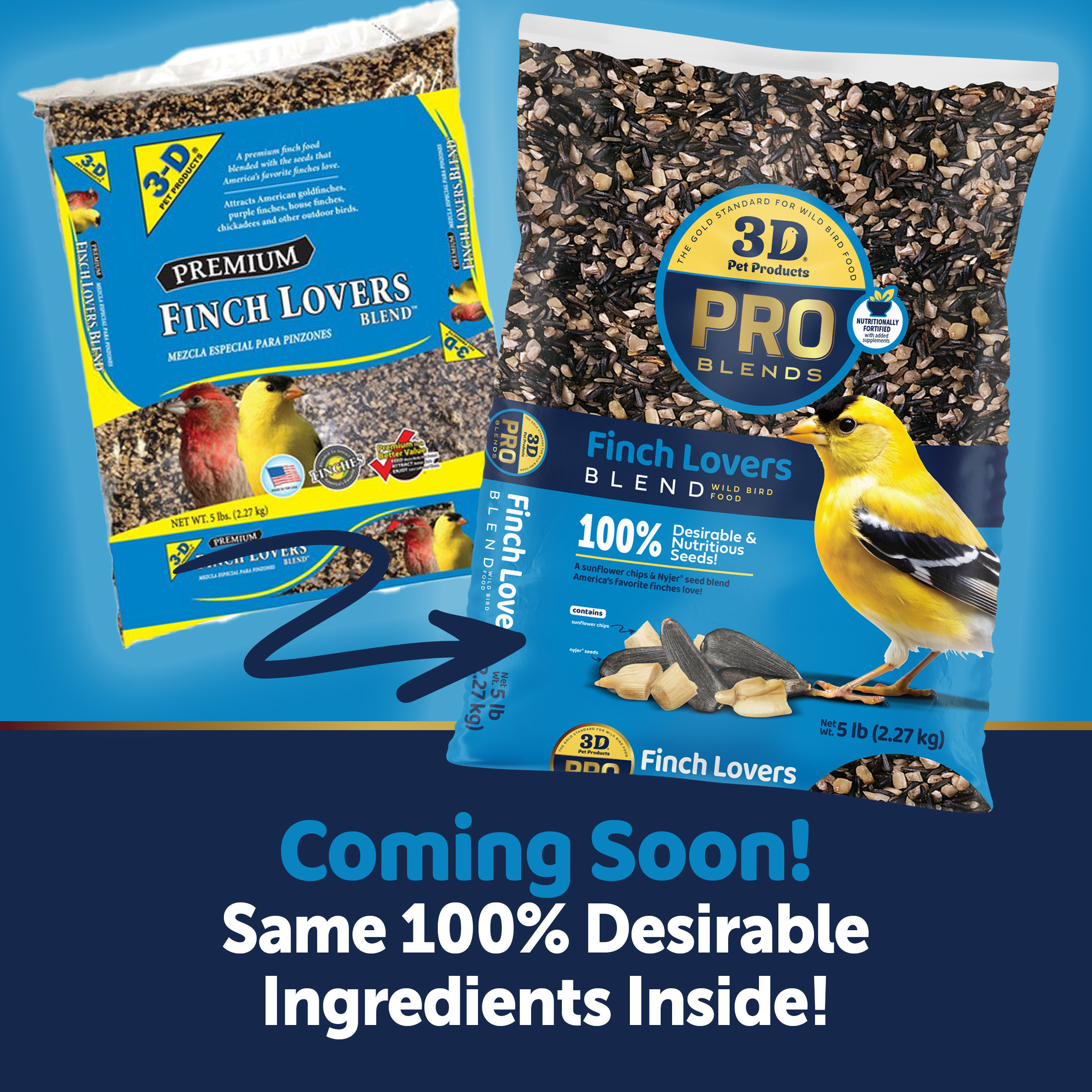 What Seeds Do Finches Like